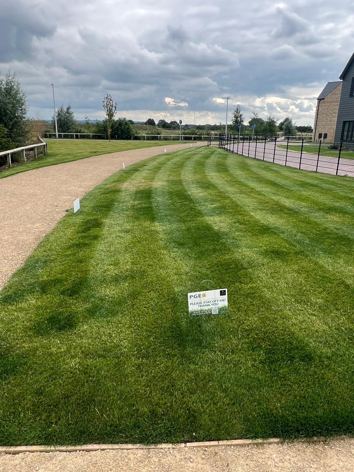 Year-round Landscaping Mastery: The Ultimate Guide to Lush Landscapes ...